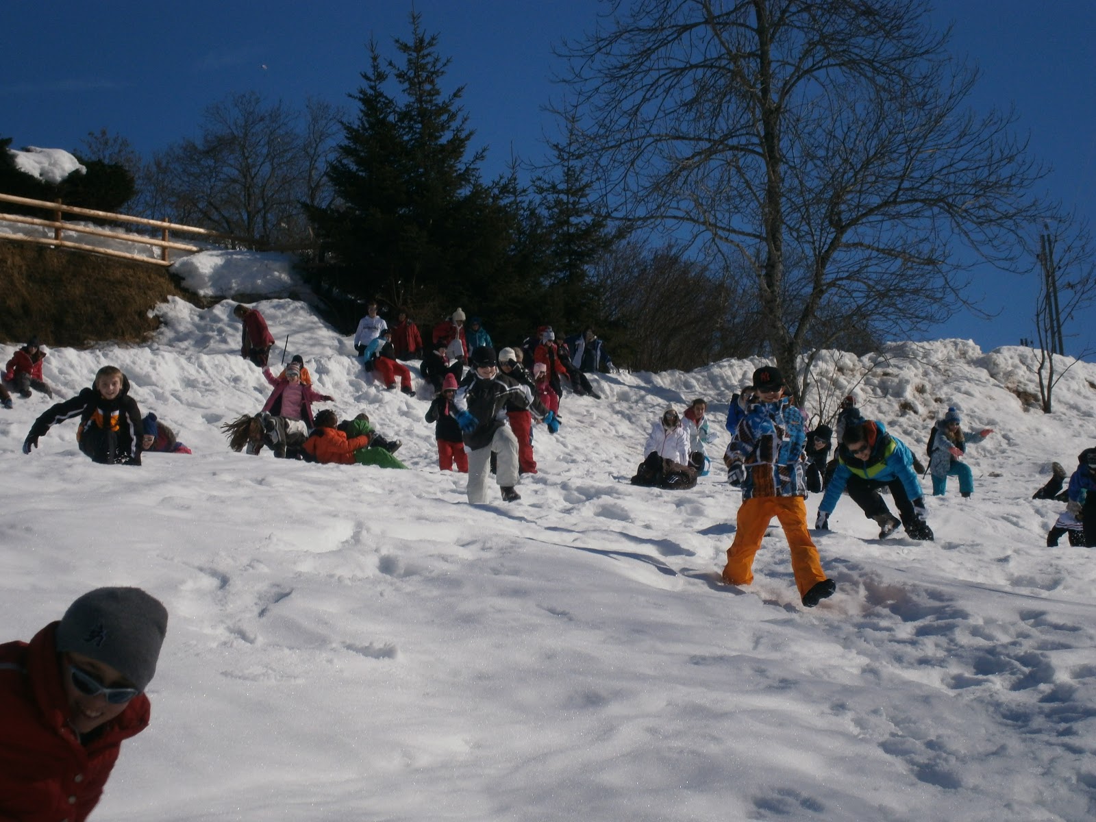 Classes de 6ème du Homborch: février 2012