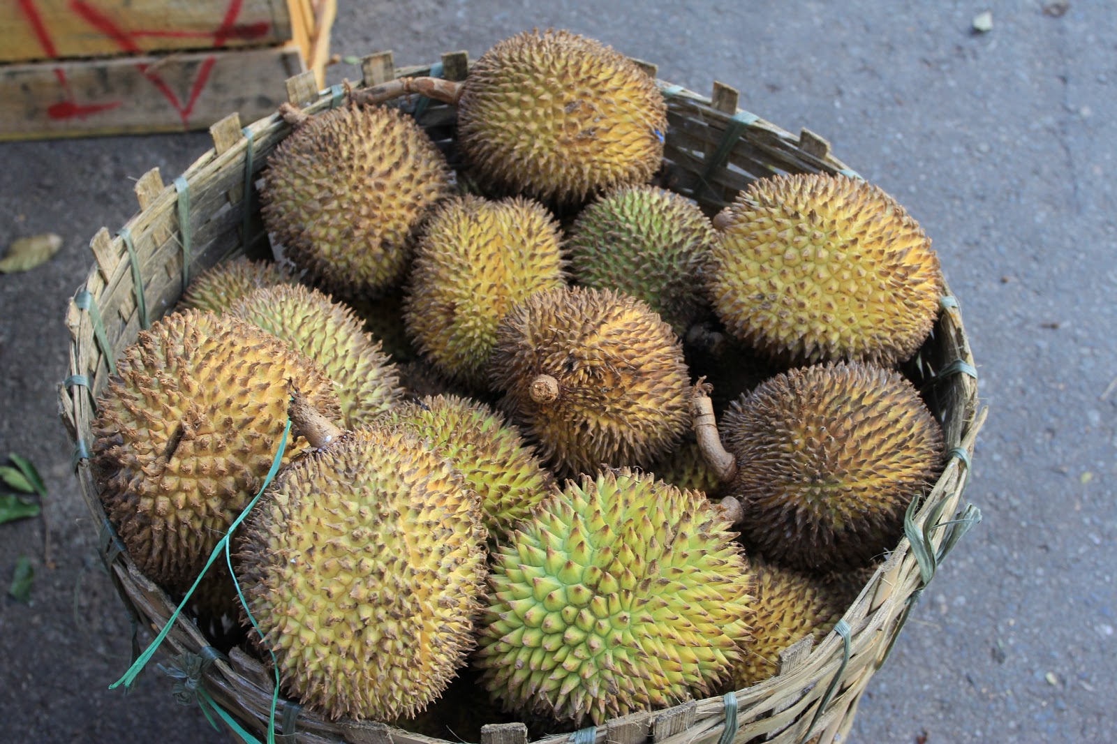 Prima Dien: Elai .... Duriannya Kalimantan Timur