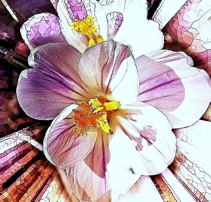 Floral Passions: Kukka - A Flower