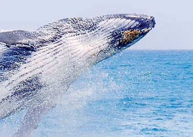 La playa de Sua – Lugares turísticos de Ecuador