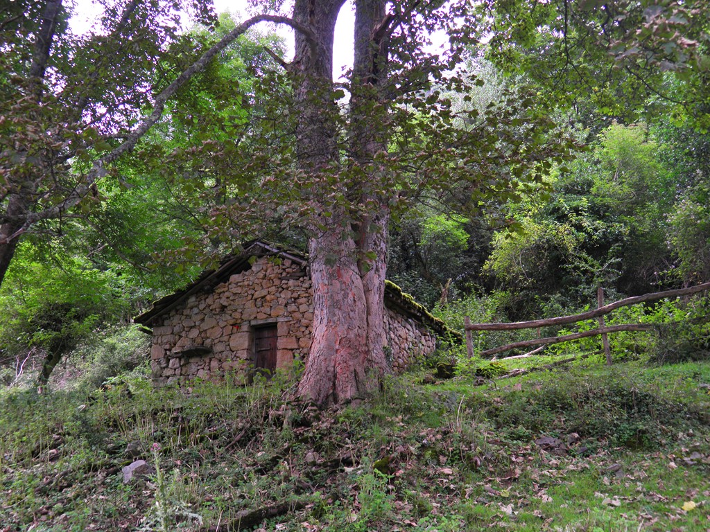 Situada en el valle del río Infierno, al sur del concejo de Piloña, es ...