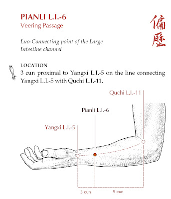 Acupuncture Masters: Acupuncture Points Database - Large Intestine channel