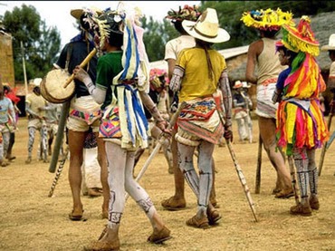 Los tepehuanos