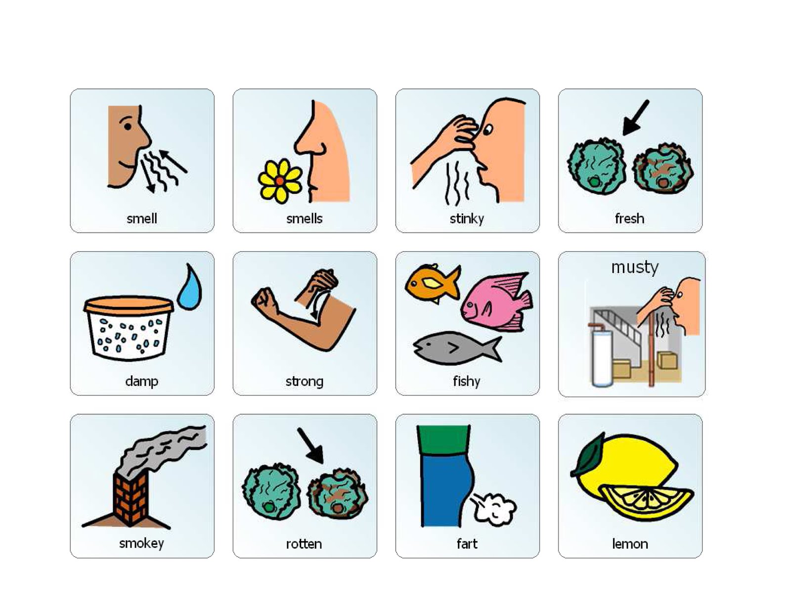 Life with Puzzling Boys: Topic board...... 5 senses!!