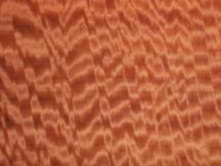 I Note My Life.: 植物雜記 - 樂器木材(Tonewood) - 馬寇瑞木(Makore) - 擁有極致斑紋的異國木材