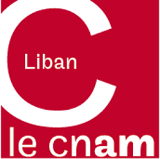 Annonces ISSAE Cnam Liban: 2016