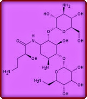 FARMÁCIA BRASILEIRA: ANTI-INFECTANTES ANTIBACTERIANOS - AMINOGLICOSÍDEOS