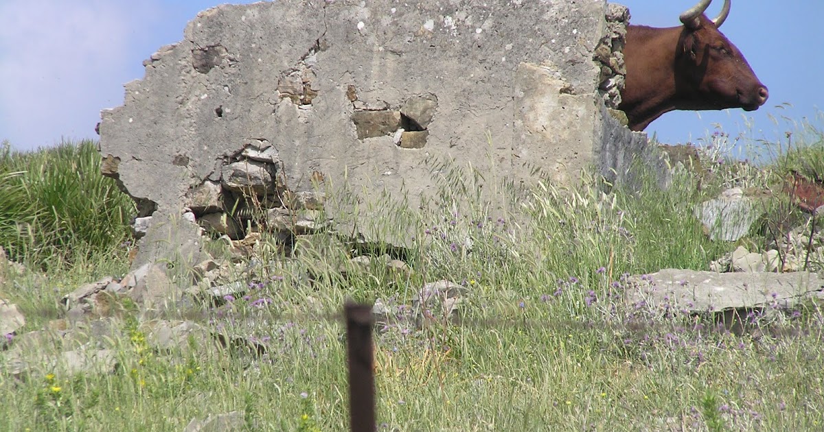 The Writer and the Wanderer: Moments of the Absurb