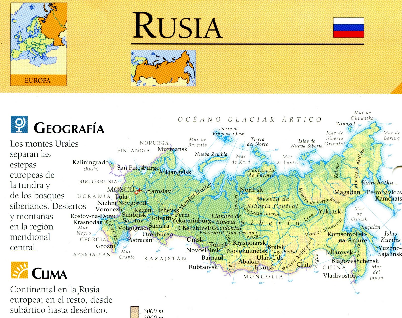BIODIVERSIDAD FORESTAL: Biodiversidad Forestal(RUSIA)