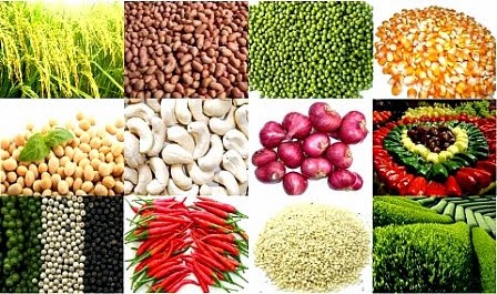 Economía de Costa Rica : La economía y sus productos en Costa Rica.