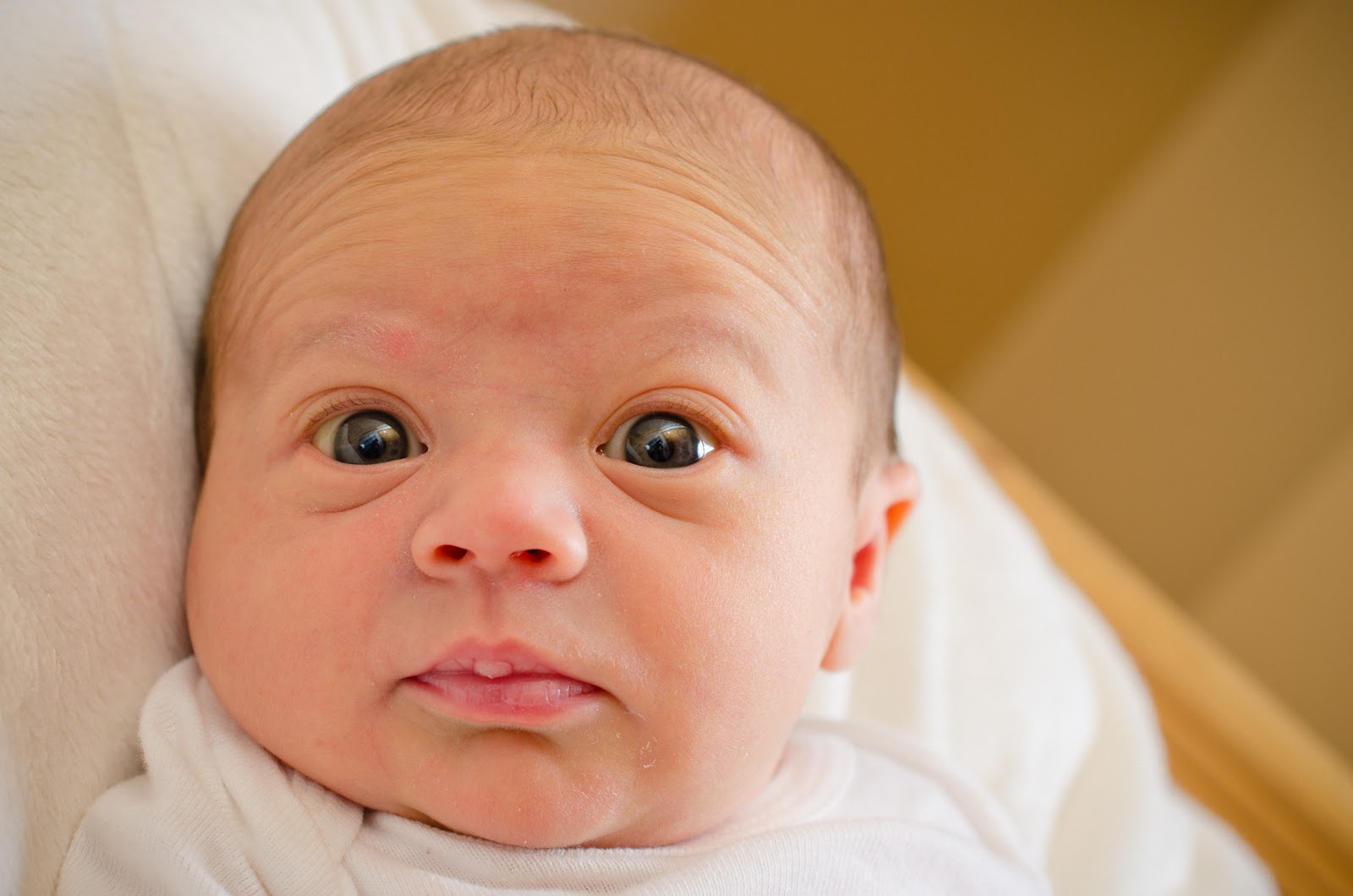 Landing Feet First Photography