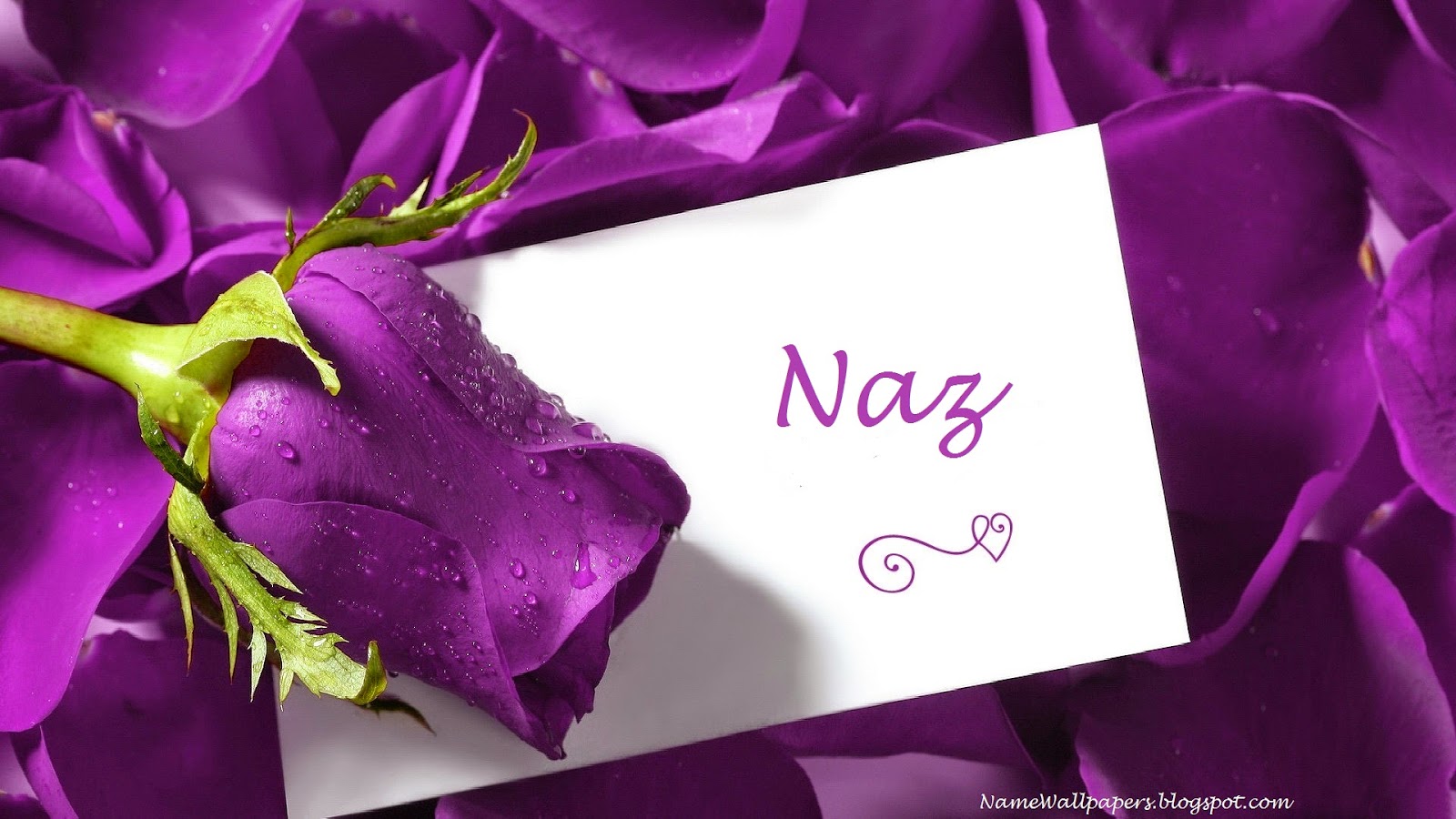 Naz Name Wallpapers Naaz ~ Name Wallpaper Urdu Name Meaning Name Images ...