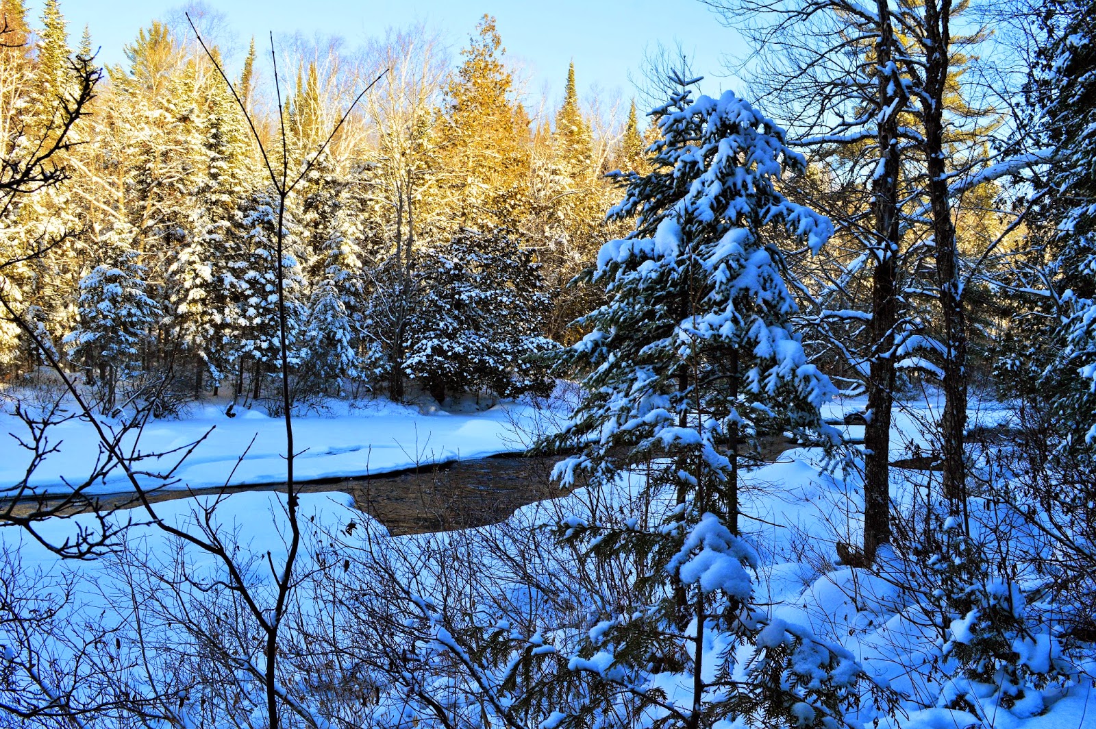 Parc de la rivière Doncaster
