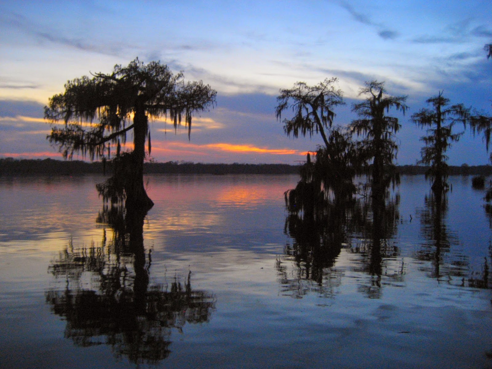 Living Rootless: Lake Martin: Sunsets and Gators
