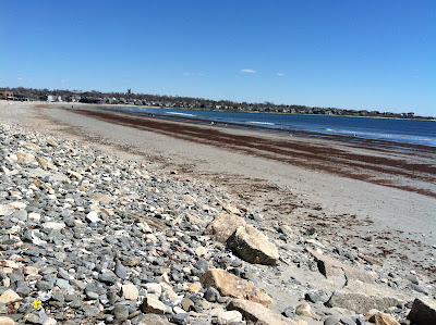 Dan Cirucci: Beautiful Newport Rhode Island Blossoms In Spring