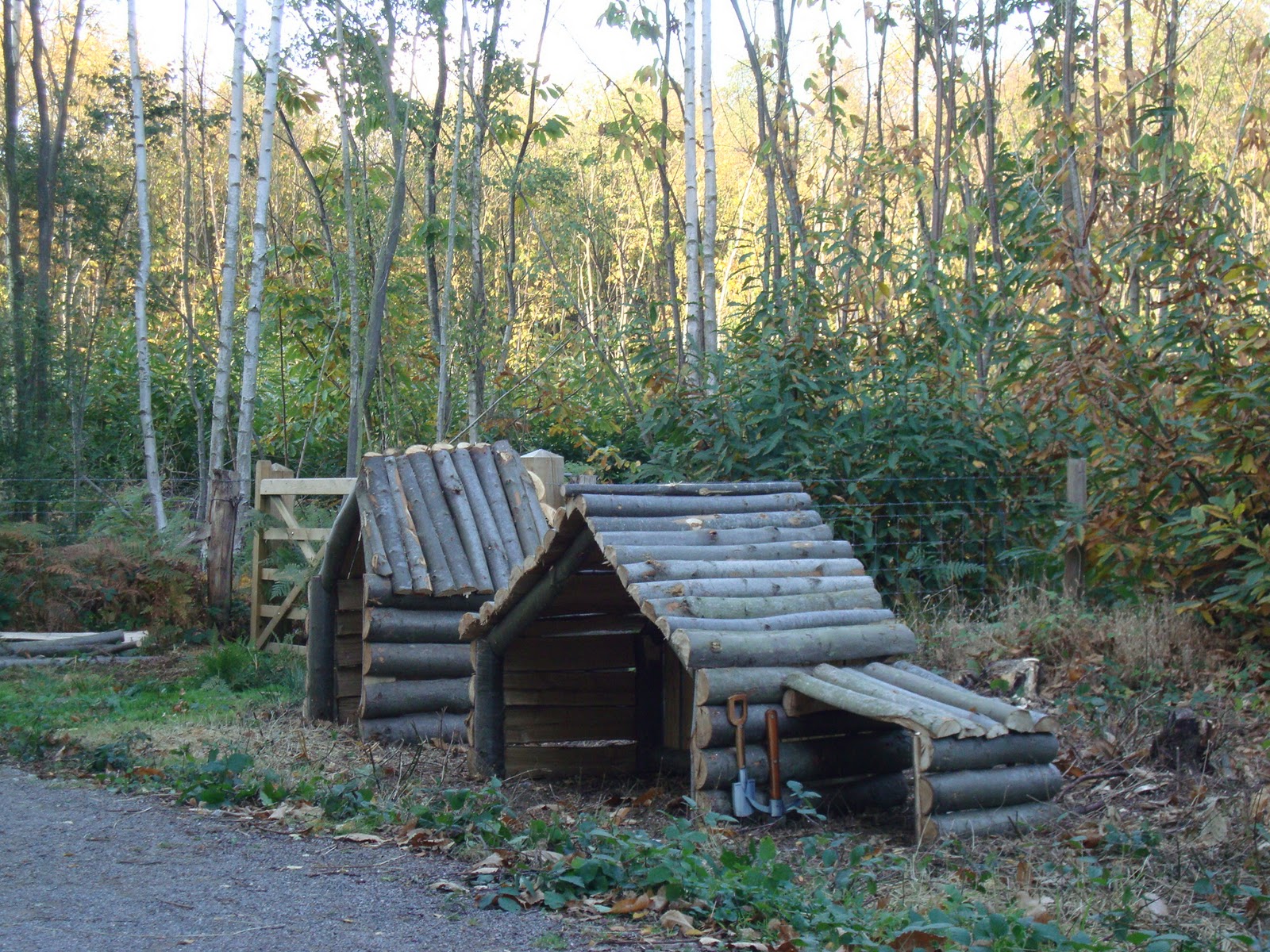 Wildart: Insect Homes