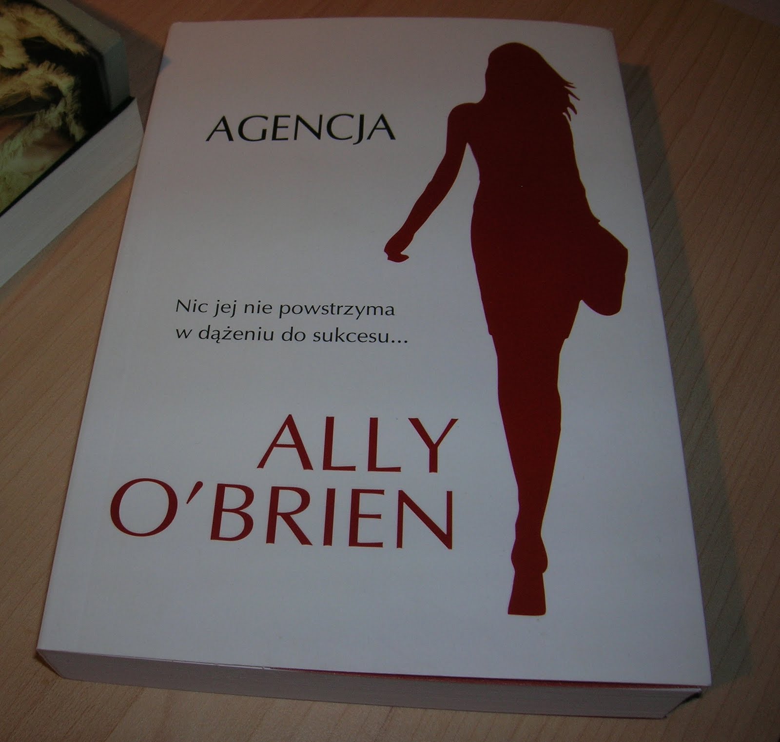 Z głową w książkach: "Agencja" - Ally O'Brien (Brian Freeman, Ali Gunn)