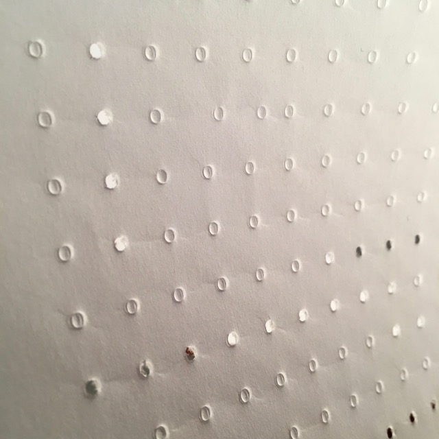 Paper Ponderings: Caren in Canberra