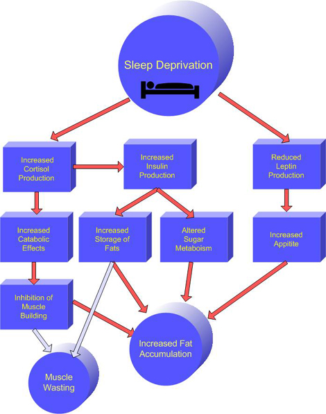 Dialed-In Nutrition: Sleep Deprivation