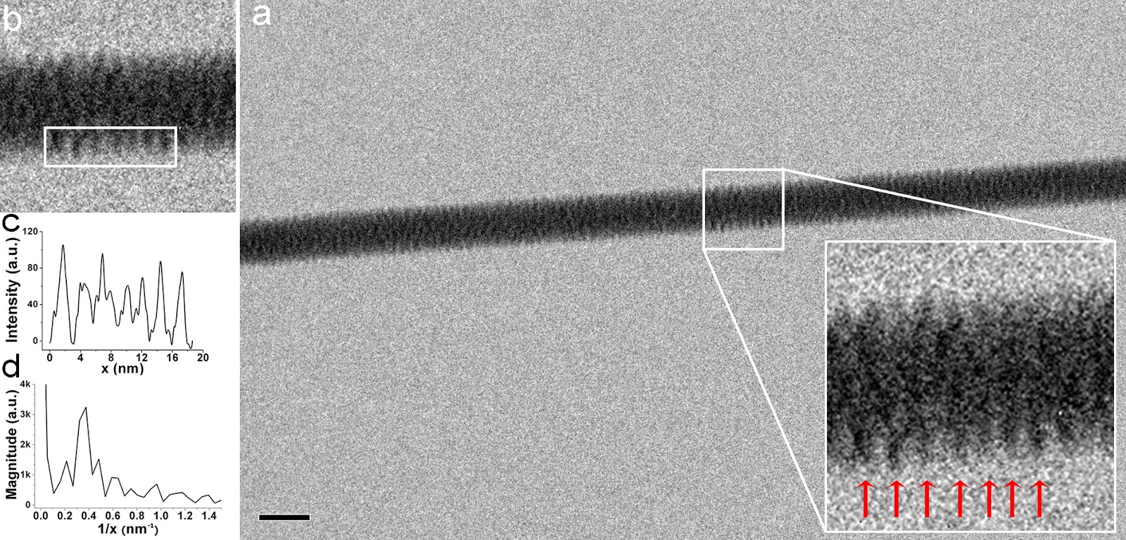 Biodiversity Science: DNA photos