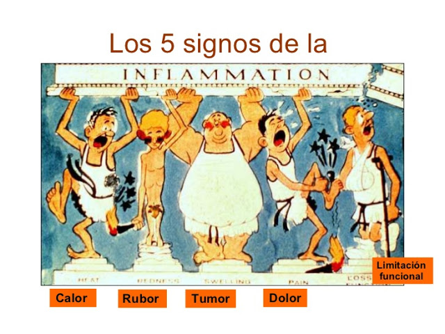 WASPADAI!! Cardinal sign atau tanda - tanda Inflamasi - TARIAN JEMARI ...