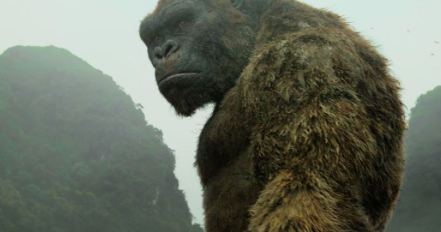 A poem about a gorilla for World Poetry Day: 21 March 2017