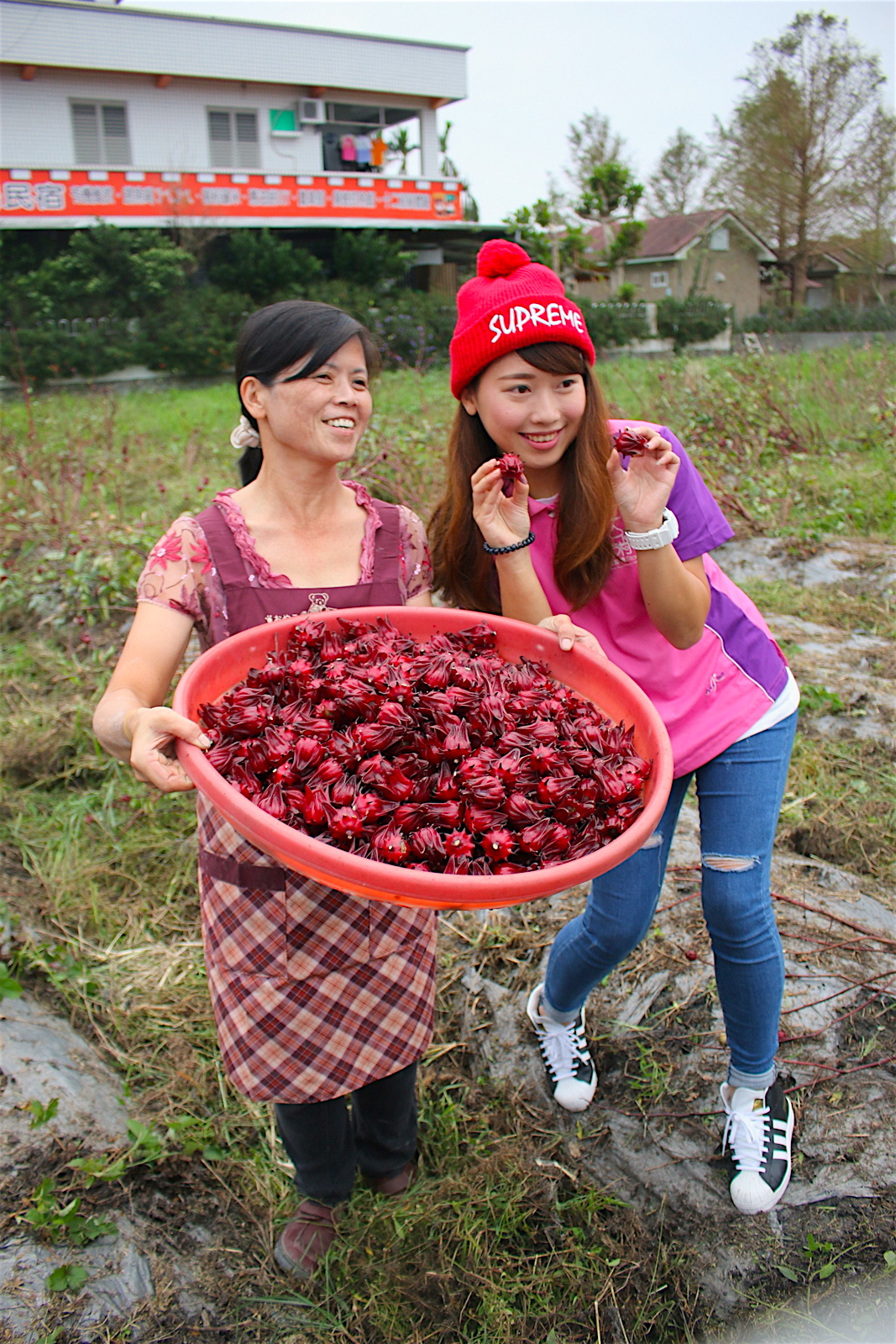 Taiwan Farmstay 2 of 5: Fairy Story Village Organic Farm in Yilan ...