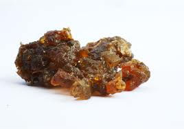 The Healing Herb of India: Commiphora wightii (Guggul) |The Healing ...