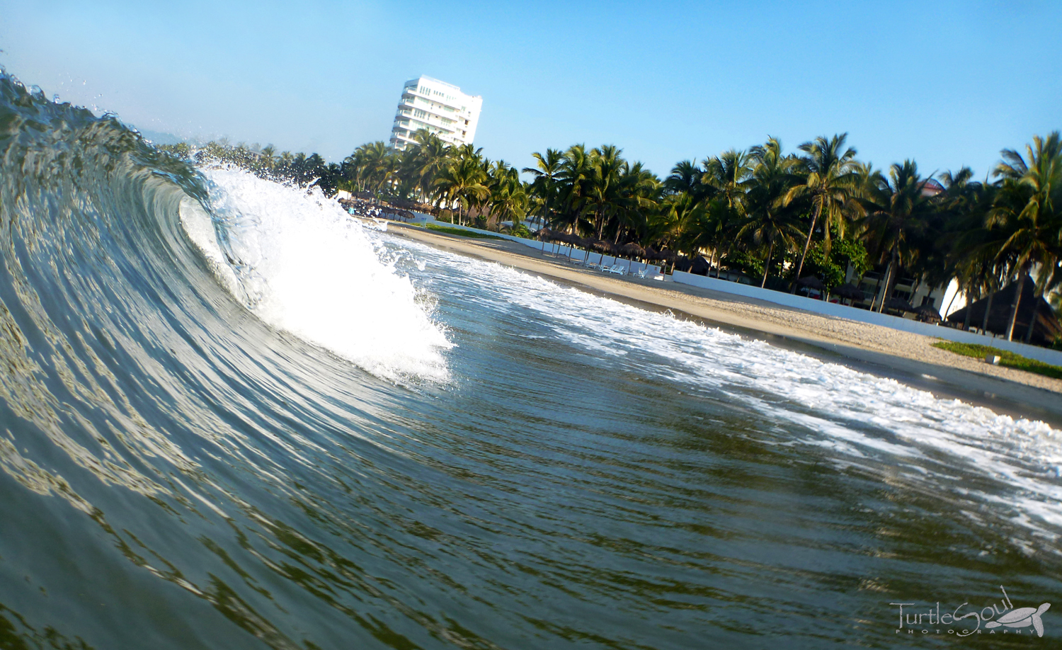 Turtle Soul Studios: Mexican Wave