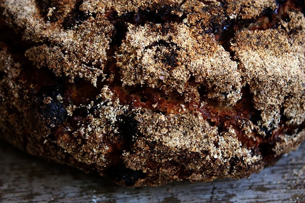 Tartine Bread Experiment: Sidebar Sunday: Happy Accident 100% Sprouted Rye
