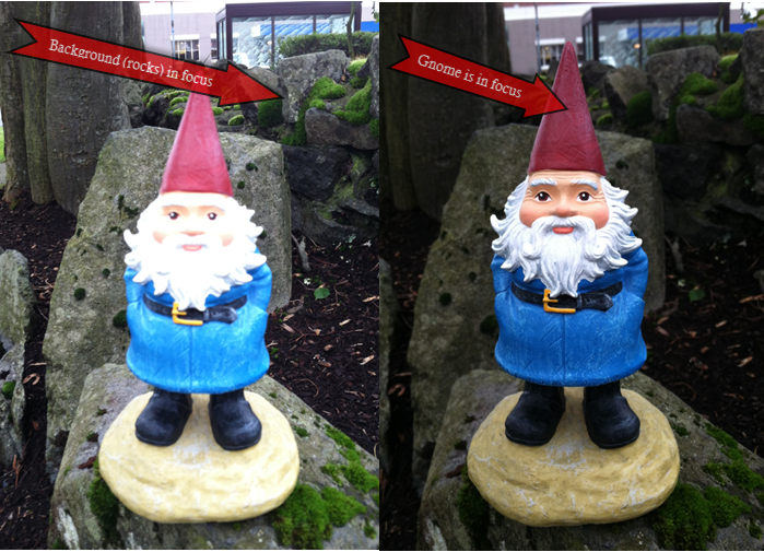 Nichole Pierce Photography