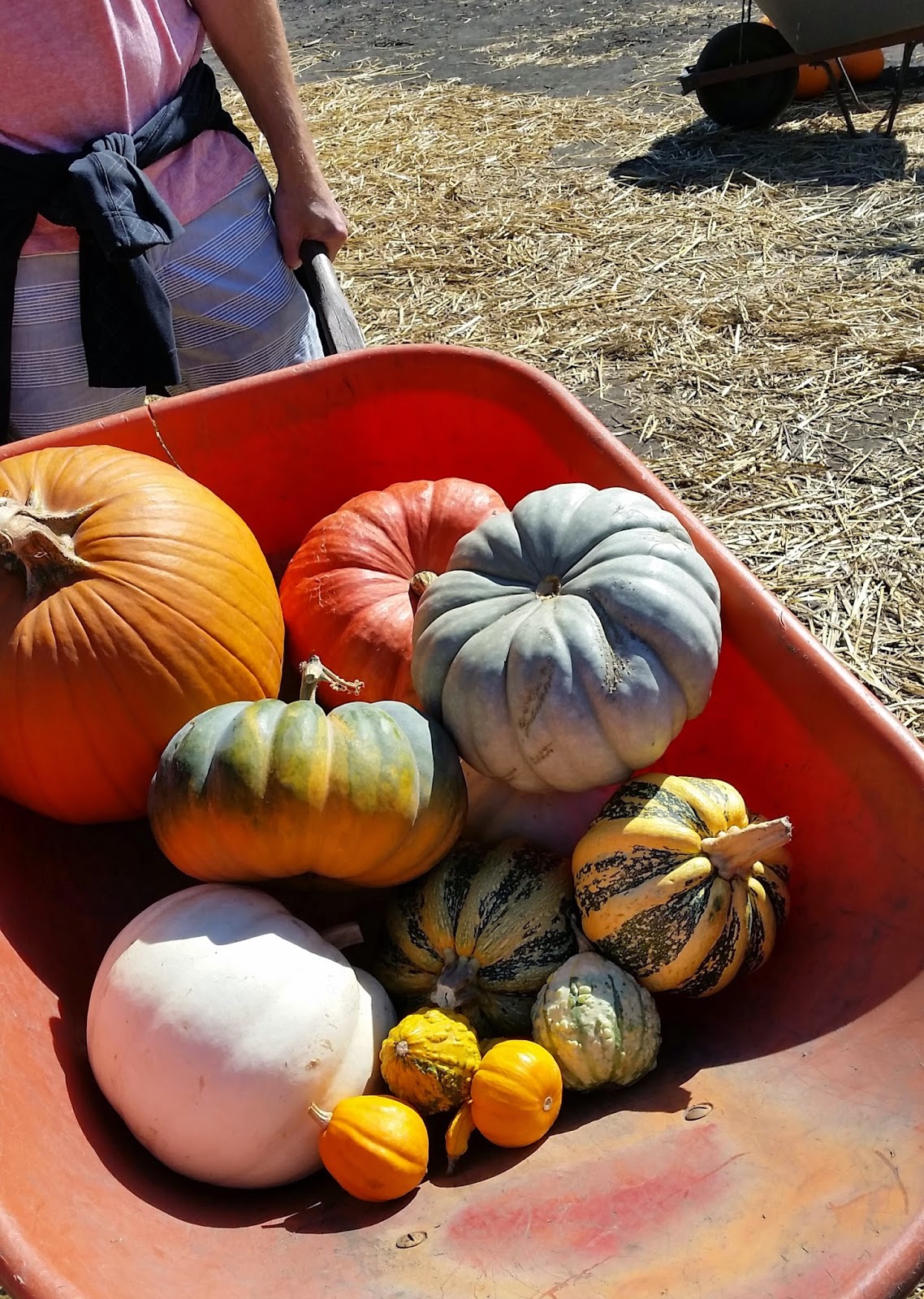 Everything Coastal: Shells and Tiny Pumpkins Create A Fall Centerpiece