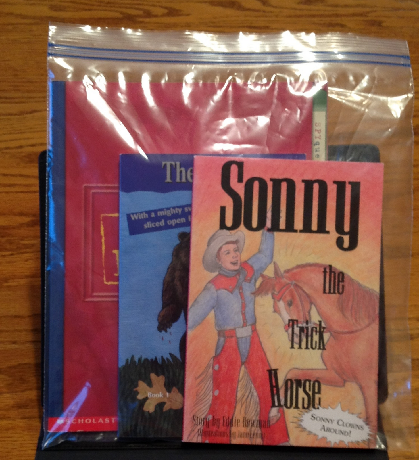 Familiar Read Basket Organization - Conversations in Literacy