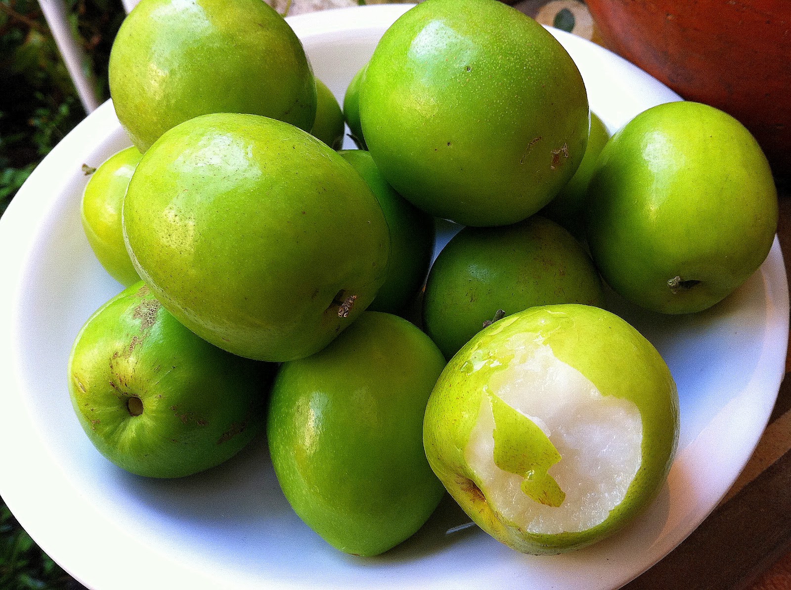 come-se: Dão ou jujuba