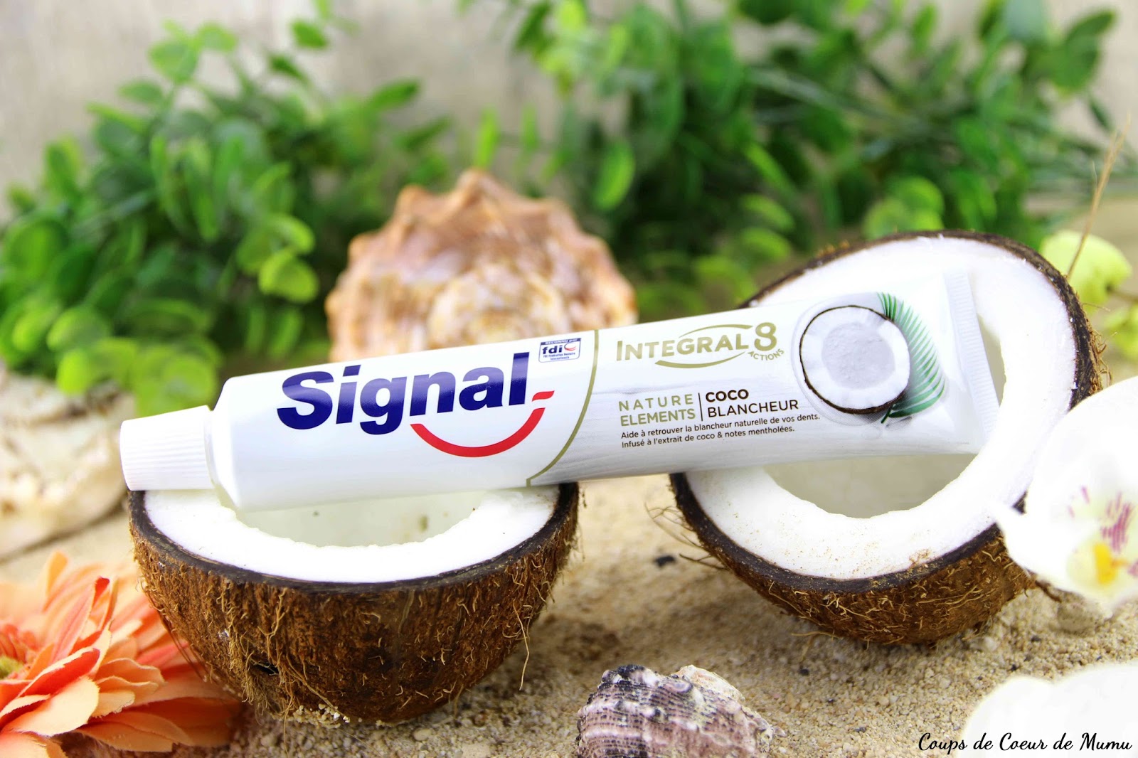 Je teste le nouveau Dentifrice SIGNAL Integral 8 Coco Blancheur ...