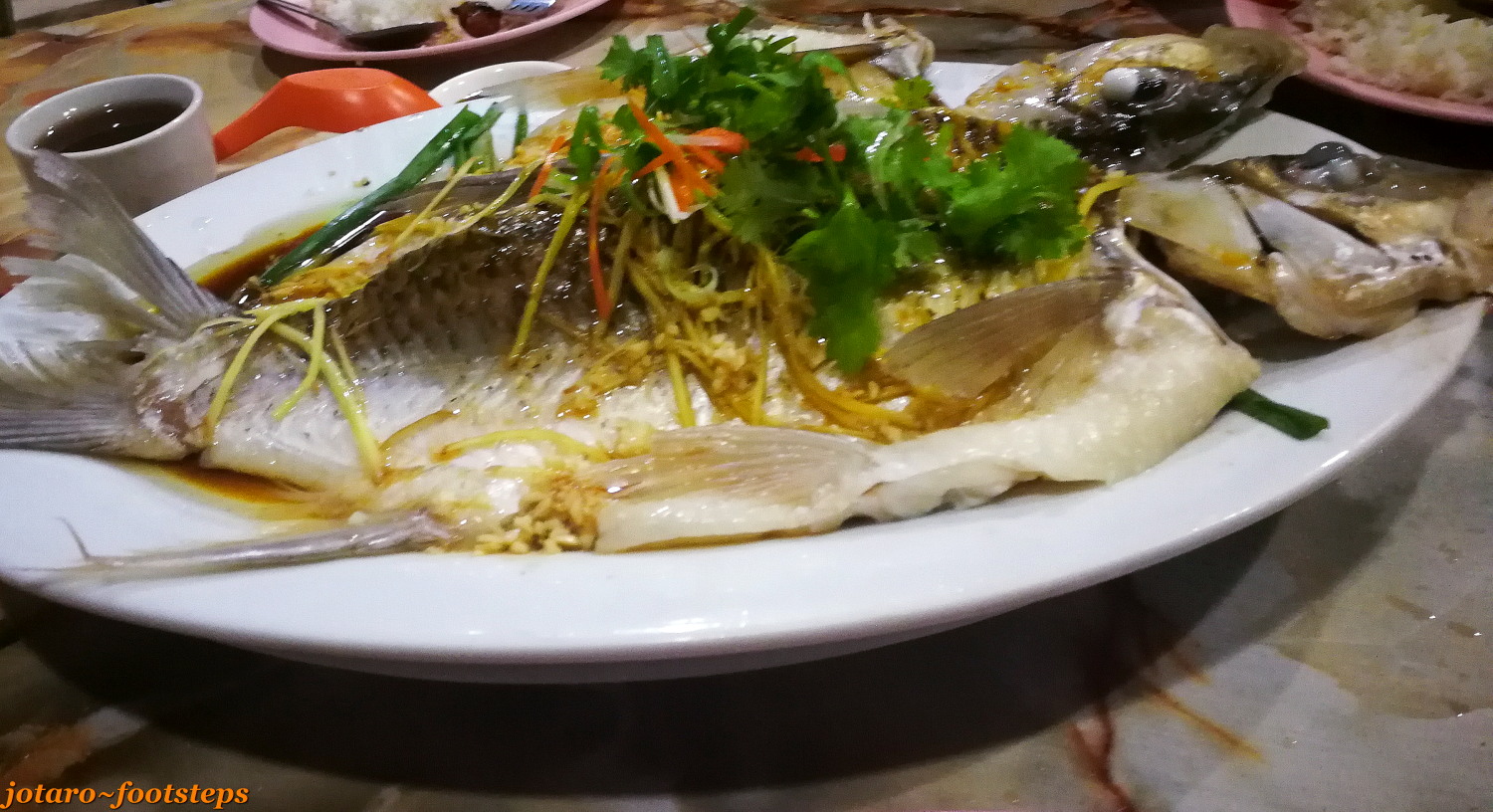 Footsteps - Jotaro's Travels: YummY! - Best Malaysian River Fish @ Yan ...