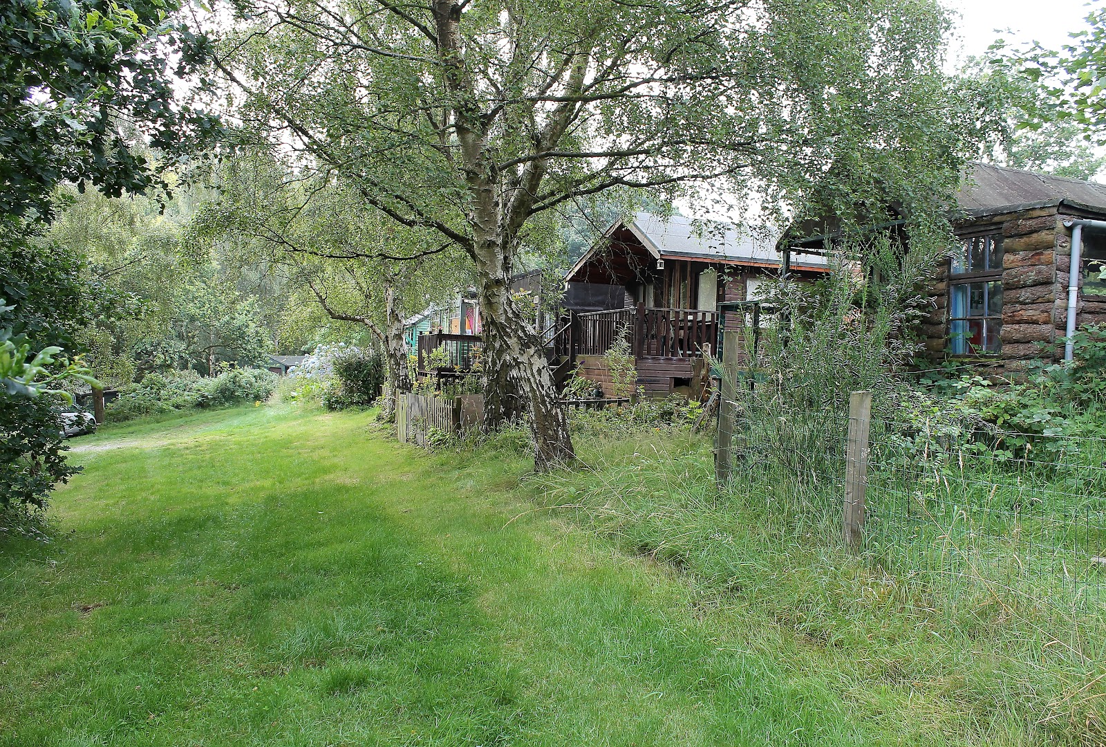 View from the edge: Swithland Woods