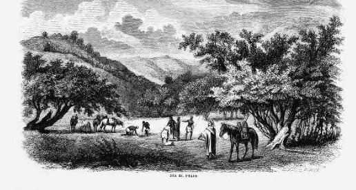 HADEJIA A YAU!: HADEJIA IN THE YEAR 1856.