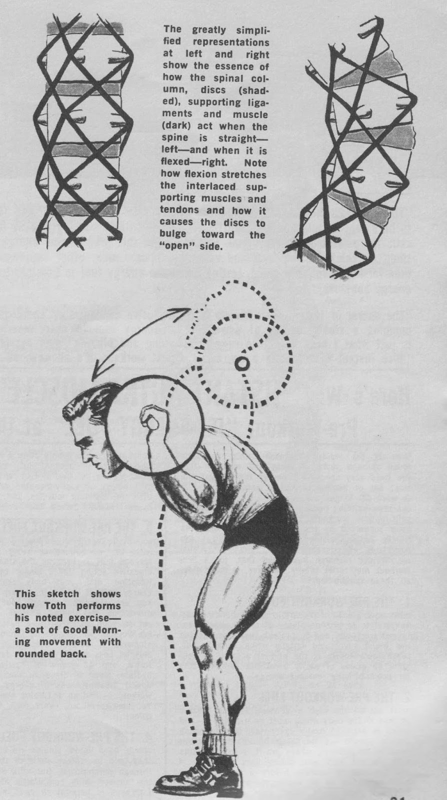 The Tight Tan Slacks of Dezso Ban: Rounded-Back Exercises to Prevent ...