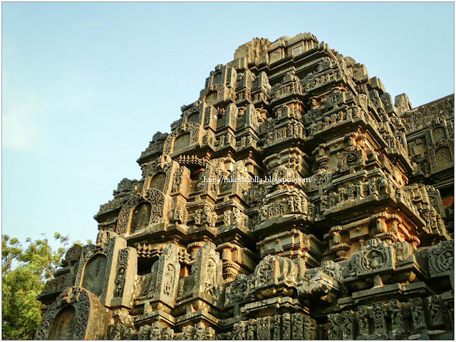 The Voice of Greenery - Trekking and Travelling in Western Ghats ...