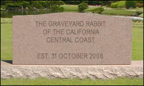 The Graveyard Rabbit of the California Central Coast