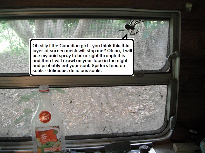 On the farm: My last week on the farm...