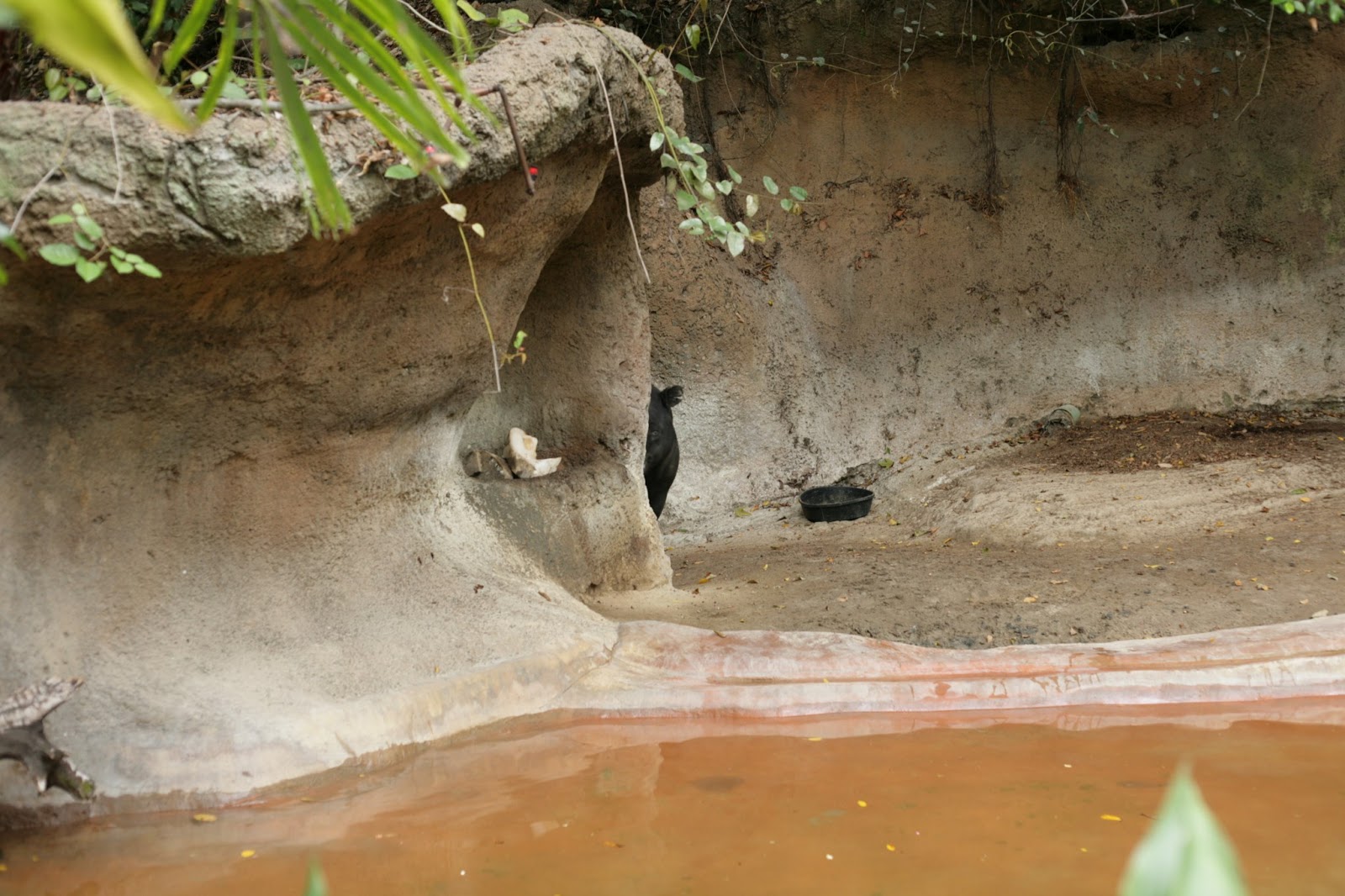 37 States, 39 Days: Top Gun Friday