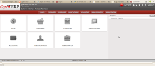 OpenERP Installation Guide