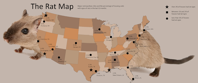 Shoreline Area News: Rats!