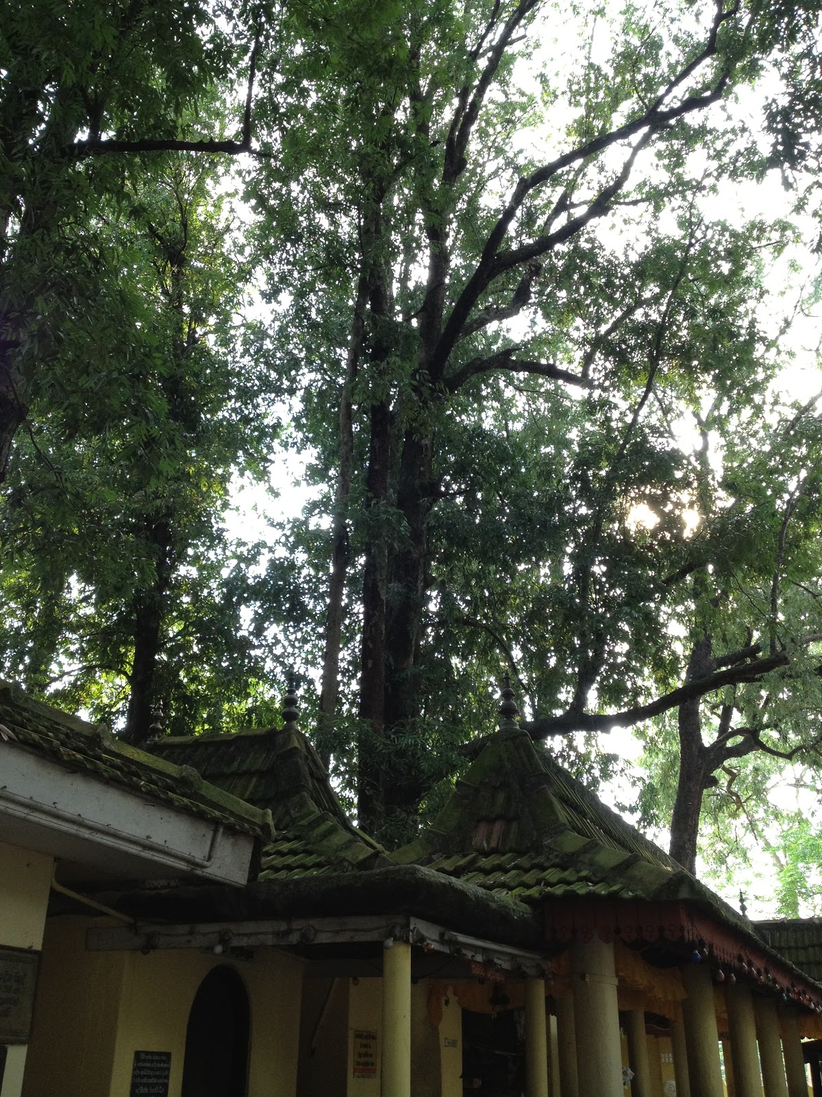 Pattini Worship: Nawagamuwa paththini Dewalaya