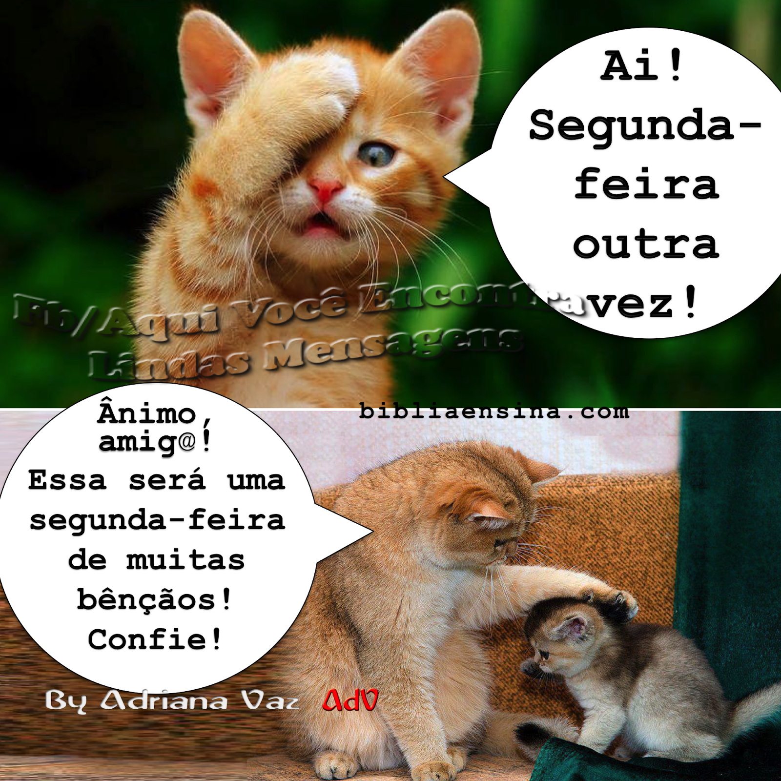 Lindas Mensagens: Segunda-feira