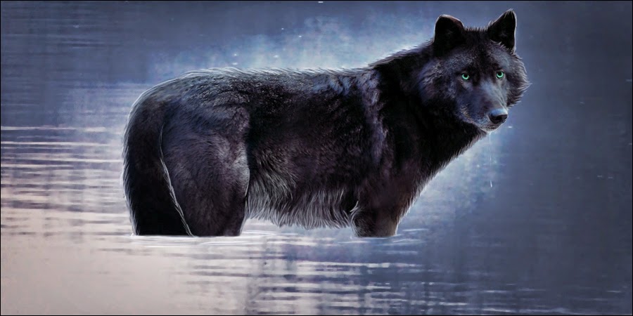 Man, Myth and Magic: Creation Mythology: Native America - North