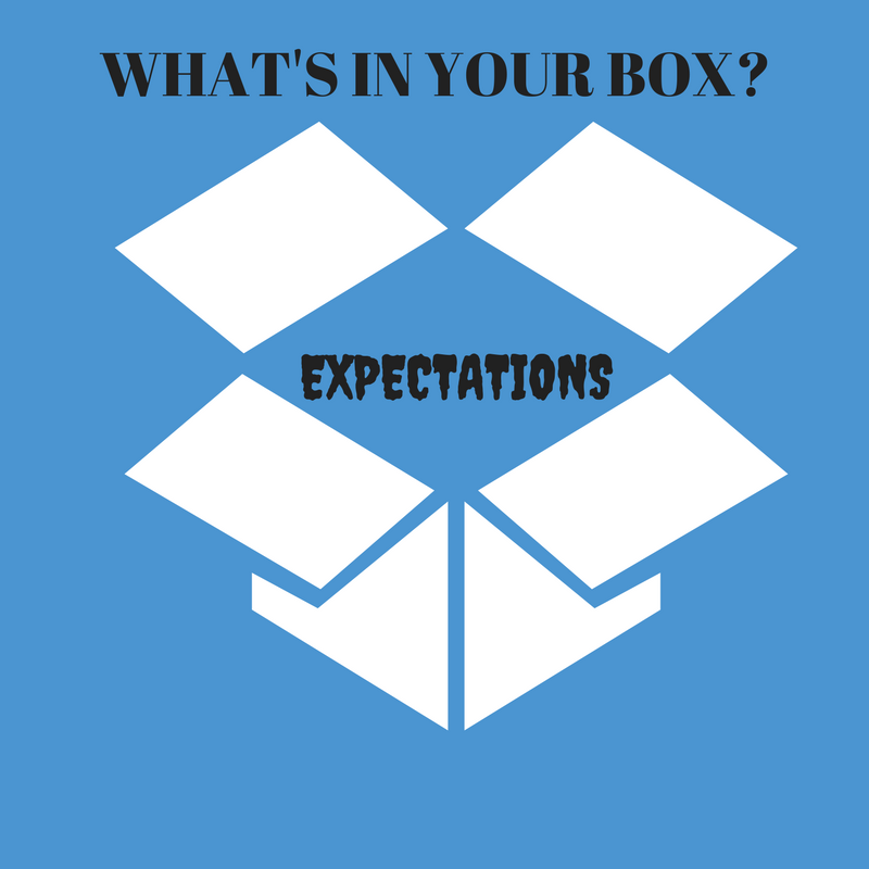 The Bees’ RV: Expectations: What's in Your Box?