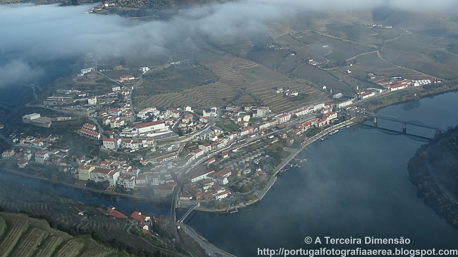 A Terceira Dimensão: Pinhão